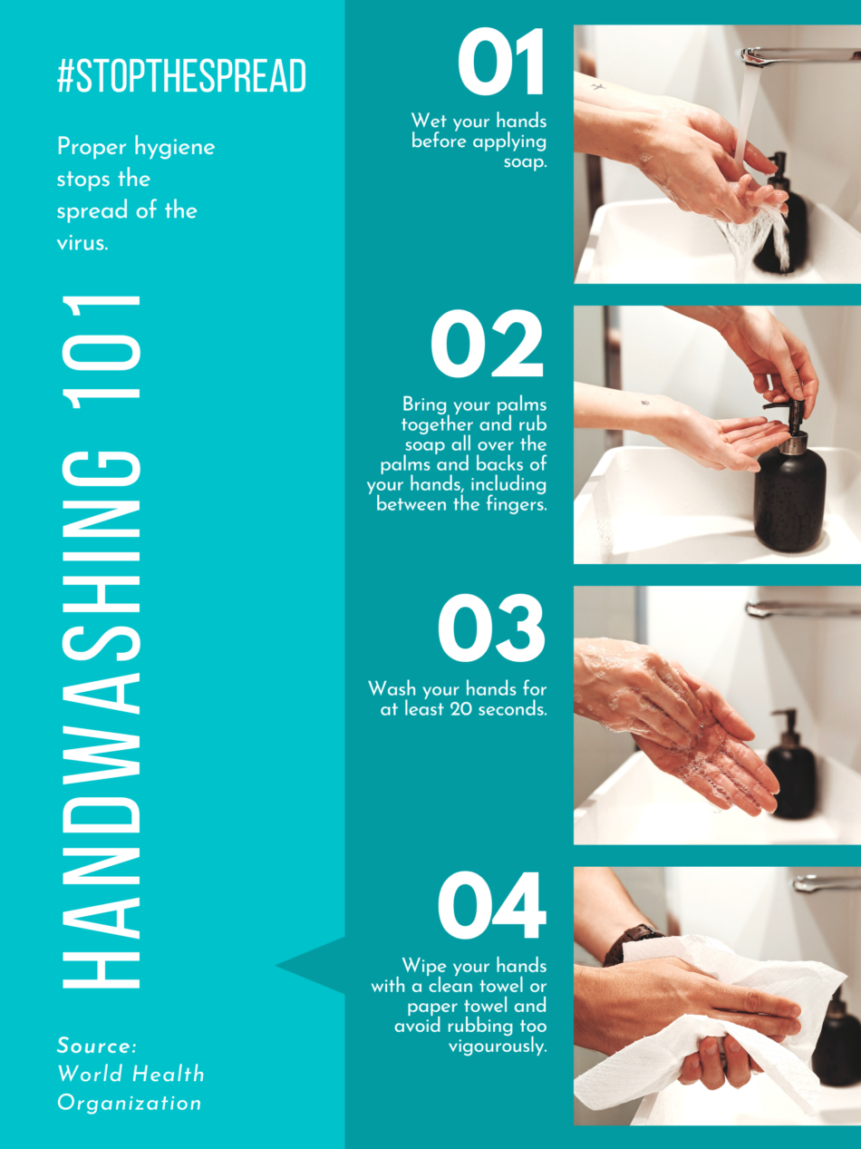 Hand Hygiene Poster – TaZiyah Designs